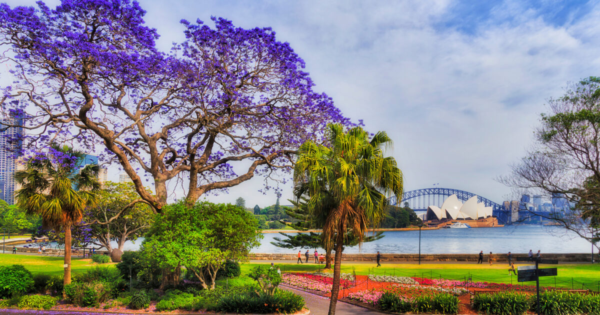 Spring in Sydney: A Season of Bloom, Breeze and Bright Beginnings ...