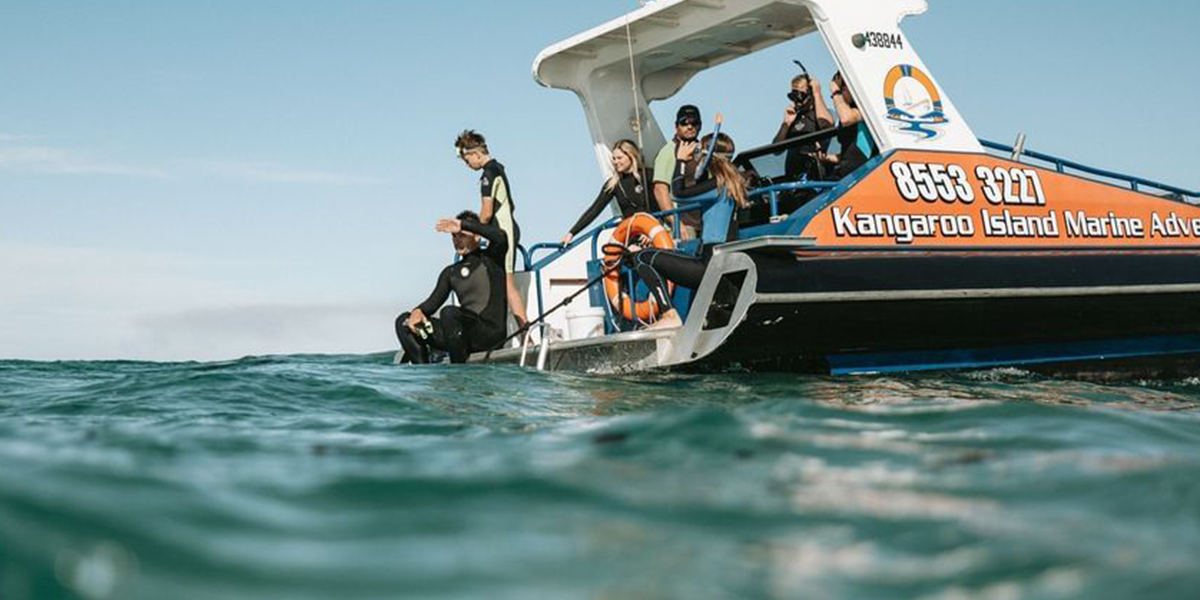 Kangaroo Island Dolphin Swim | SeaLink Kangaroo Island