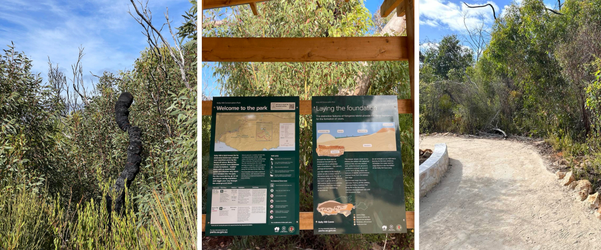 Kelly Hill Caves | SeaLink Kangaroo Island