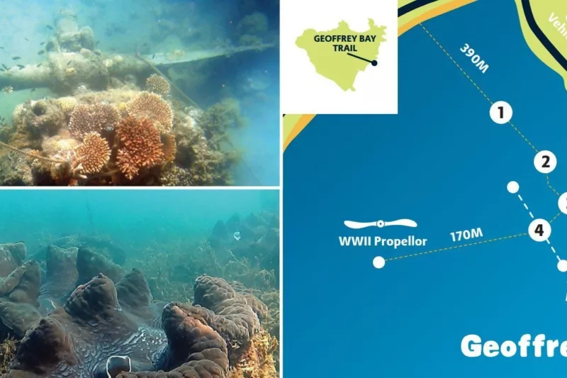 Magnetic Island best snorkelling spots | SeaLink Magnetic Island