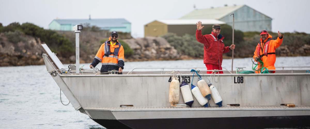 Snorkel your way into the world of reef… | SeaLink Kangaroo Island