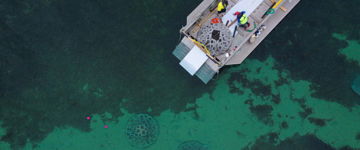 Snorkel your way into the world of reef… | SeaLink Kangaroo Island