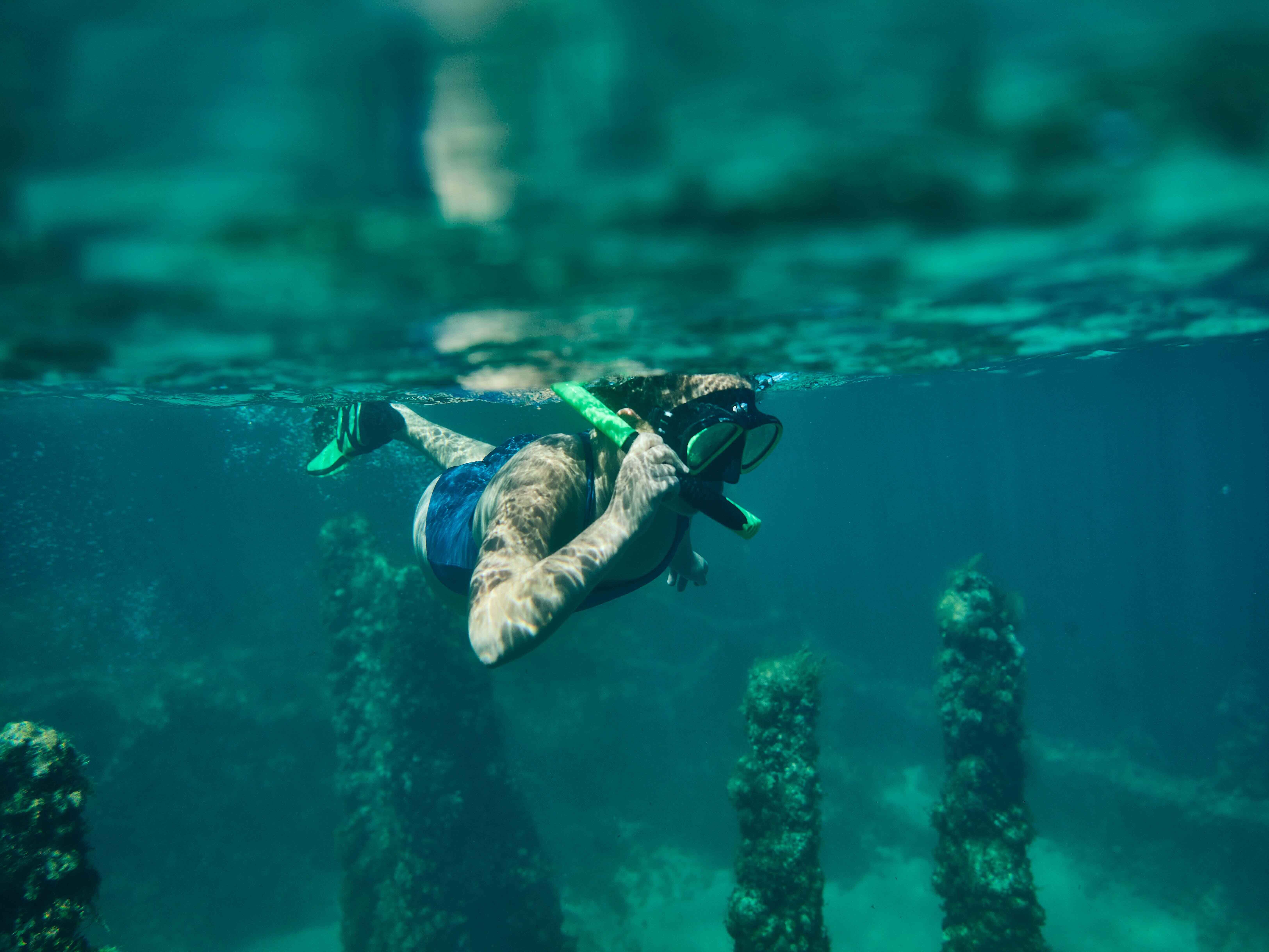 Rottnest Island top activities | SeaLink Rottnest Island