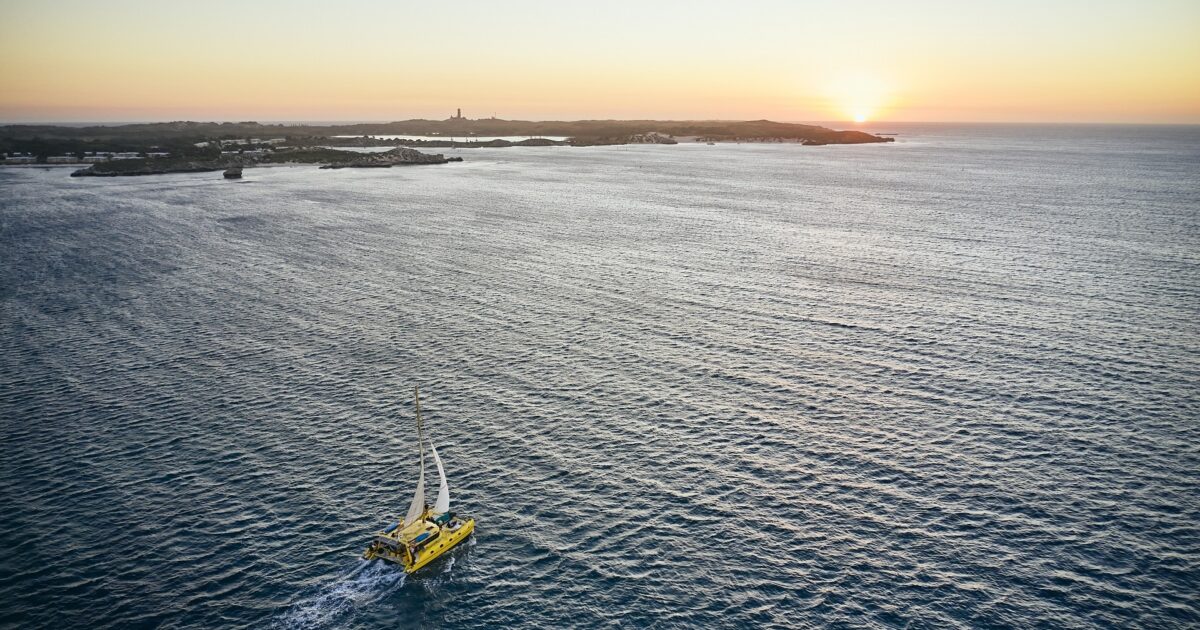 These are the best spots to watch a… | SeaLink Rottnest Island