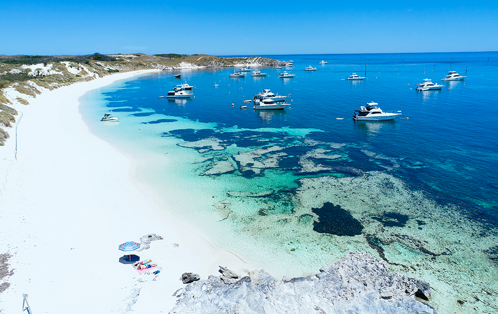 Here's why locals love these 12 Rottnest… | SeaLink Rottnest Island