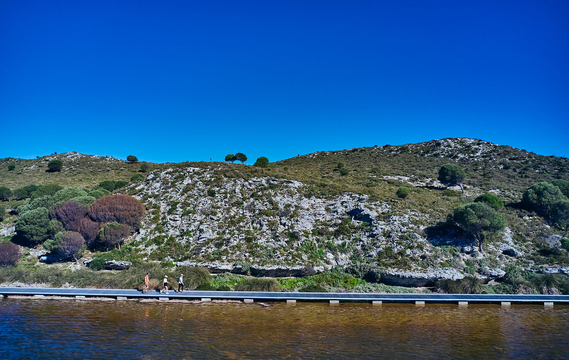 Here's your complete guide to hiking on… | SeaLink Rottnest Island