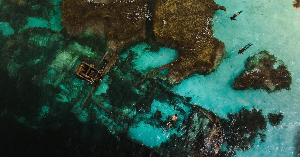 Latest news | SeaLink Rottnest Island Latest news | SeaLink Rottnest Island