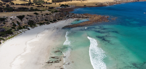 An expert's guide and tips for surfing on… | SeaLink Kangaroo Island