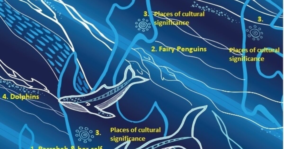 SeaLink unveils Indigenous art installation at Bruny Island… | SeaLink