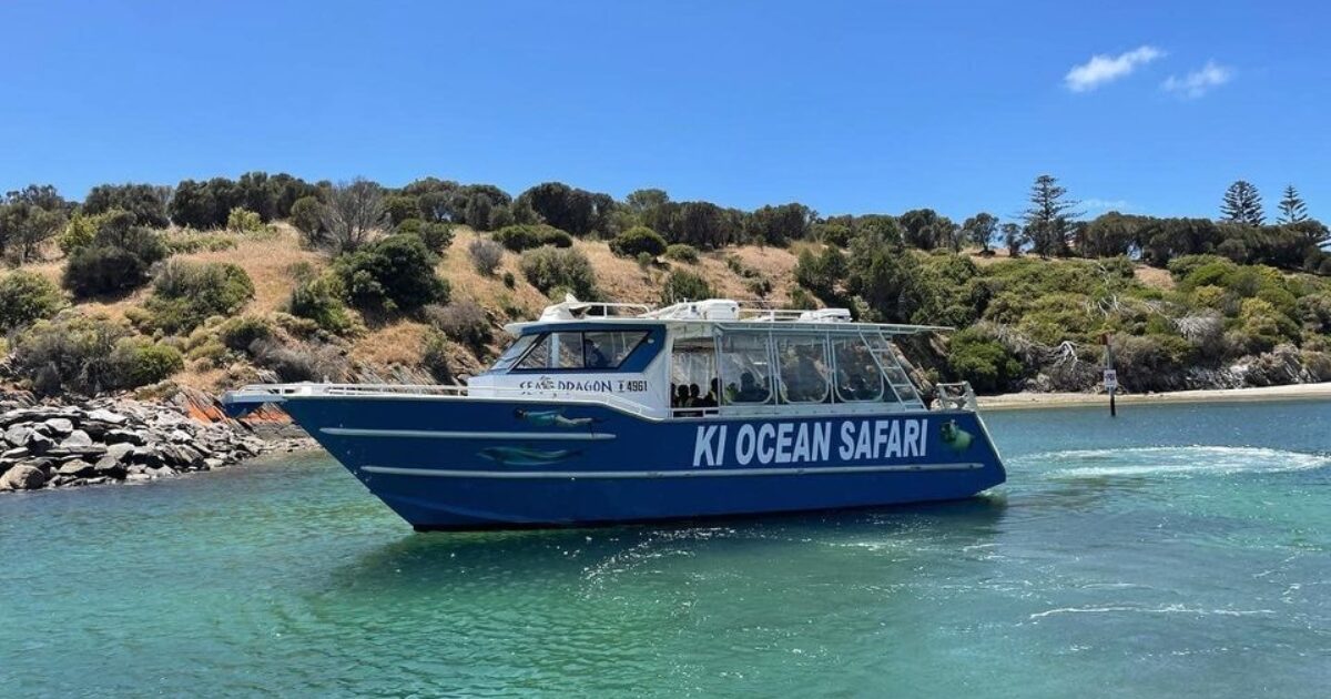 Kangaroo Island Ocean Safari | SeaLink Kangaroo Island